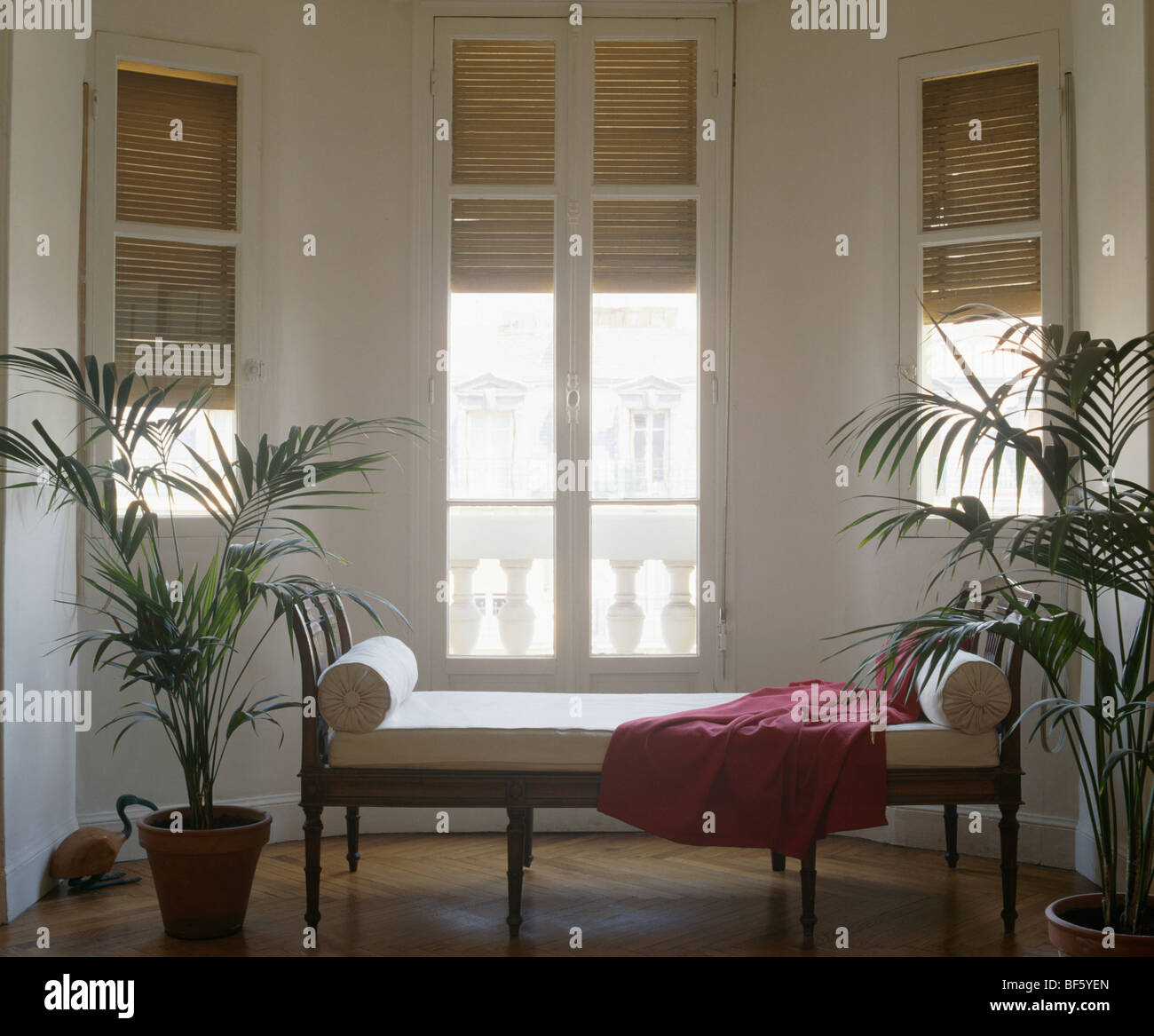 Potted palms on either side of cream antique chaise-longue in front of ...