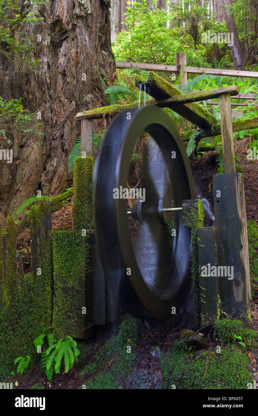 Waterwheel on the Kingdom of the Trees Trail, Trees of Mystery, Del ...