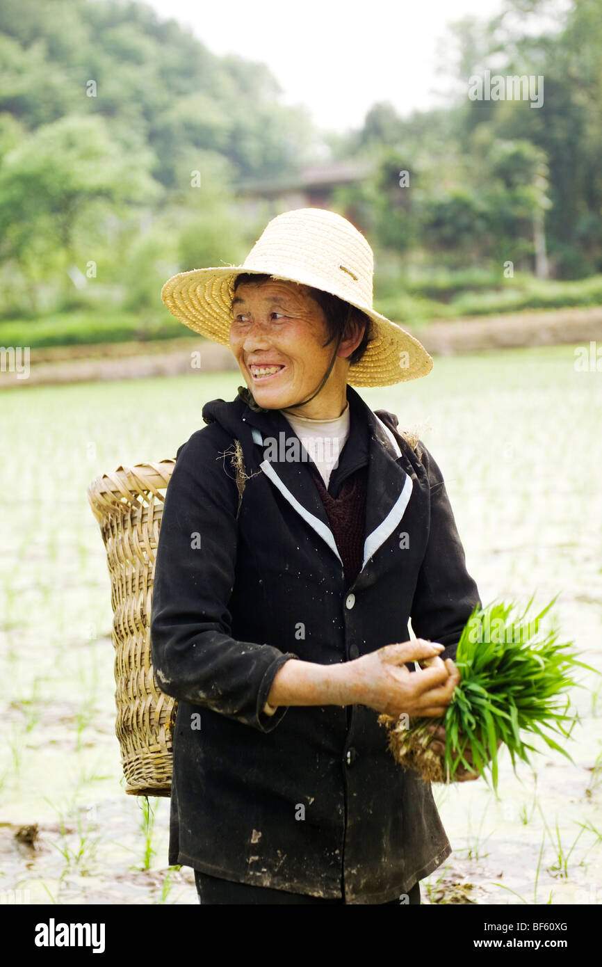 Women planting rice in paddy field, Tenglong Cave Scenic Area, Lichuan ...