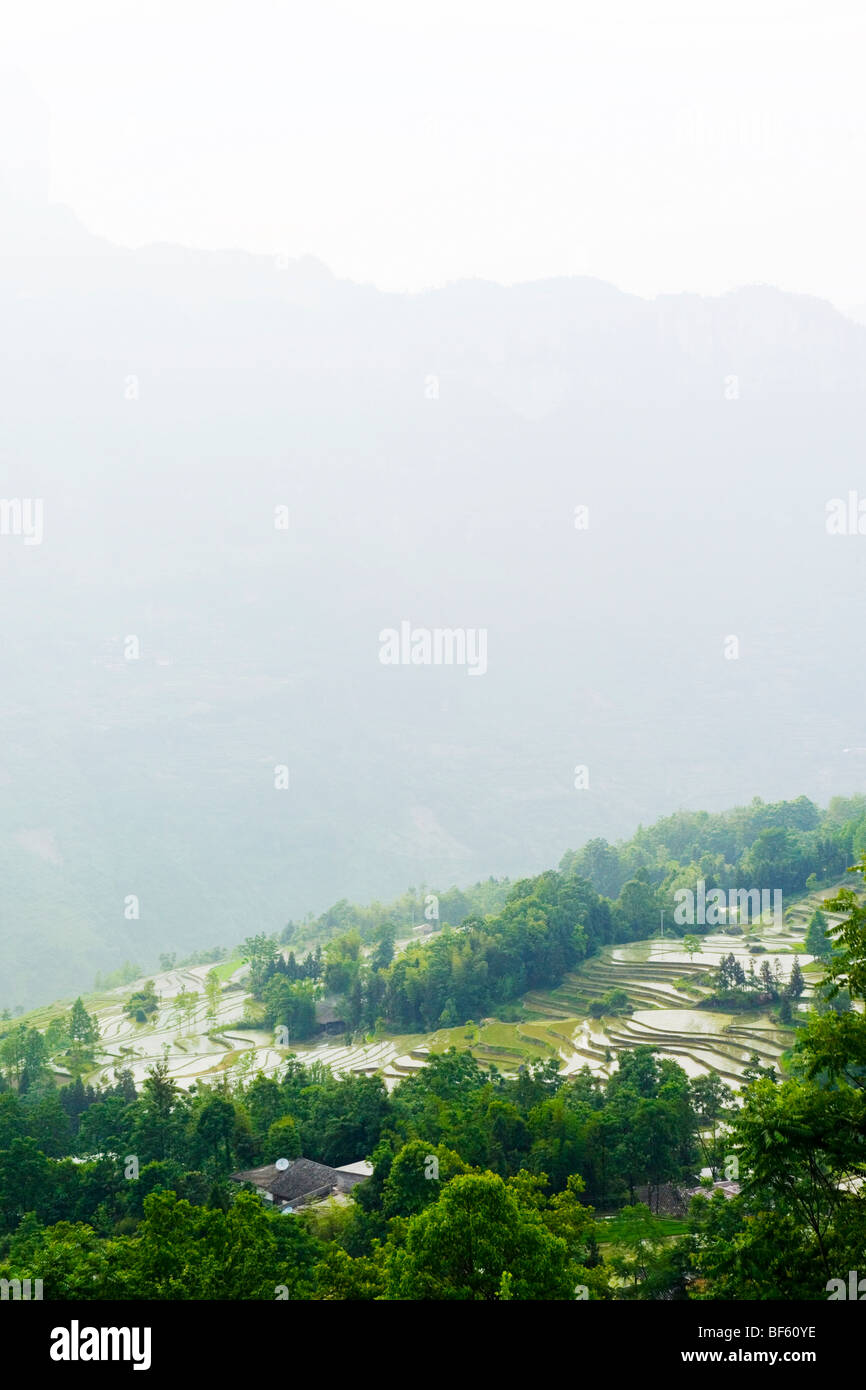 Tenglong hi-res stock photography and images - Alamy