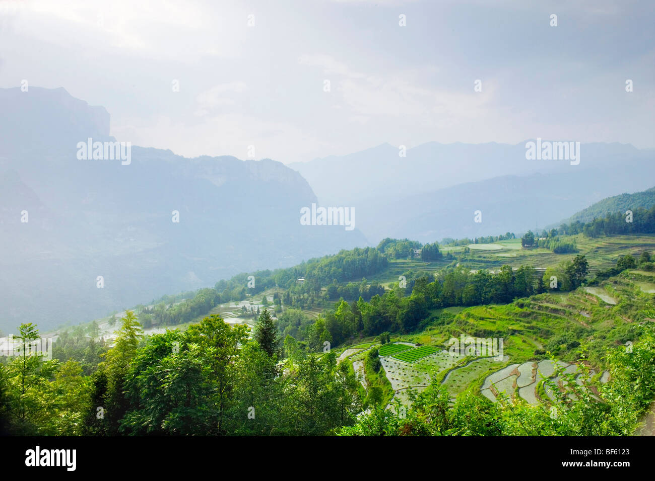 Tenglong hi-res stock photography and images - Alamy