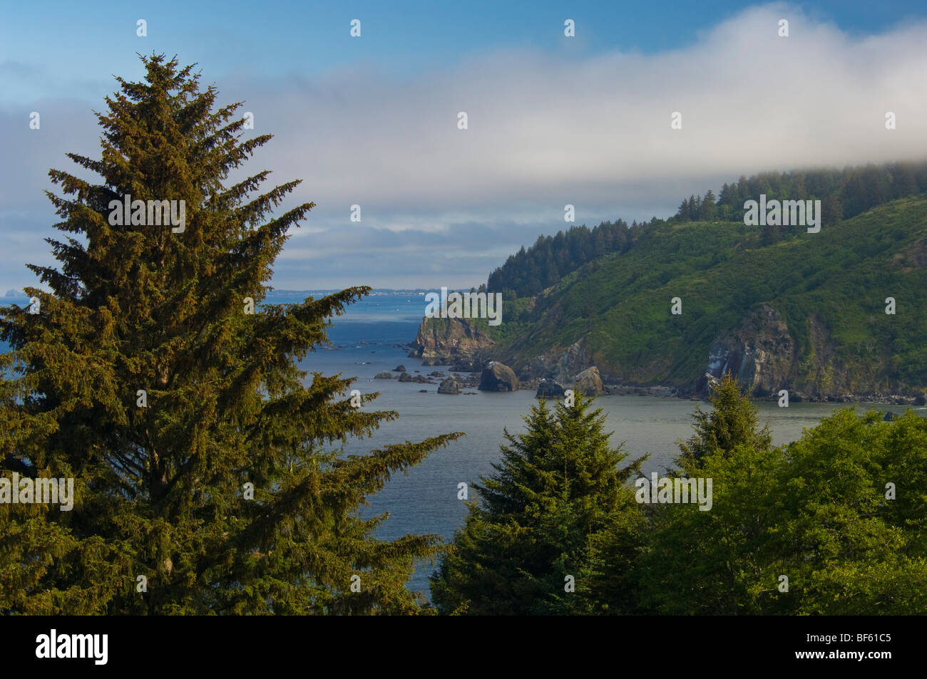 Coastal fog over the rugged hills and ocean, Redwood National Park ...