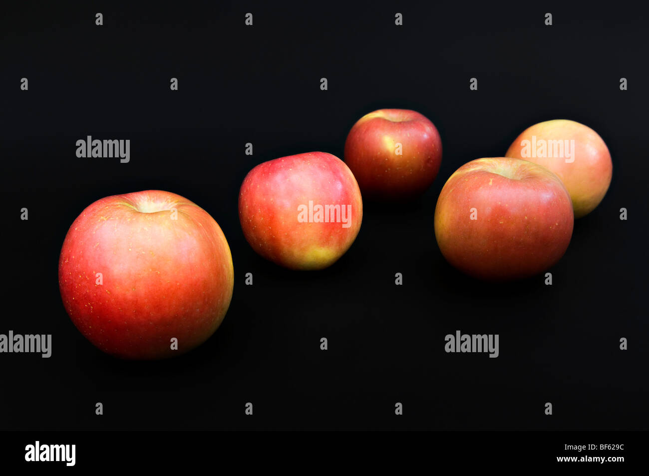 Five red apples taken against a black background Stock Photo - Alamy