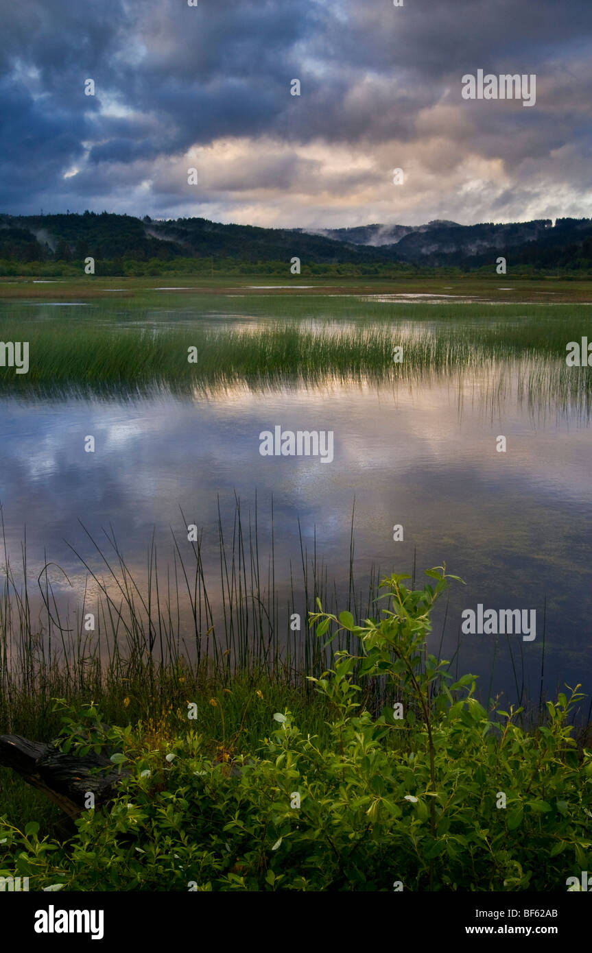Storm clouds and fog at sunrise over Big Lagoon Marsh, Humboldt Lagoons ...