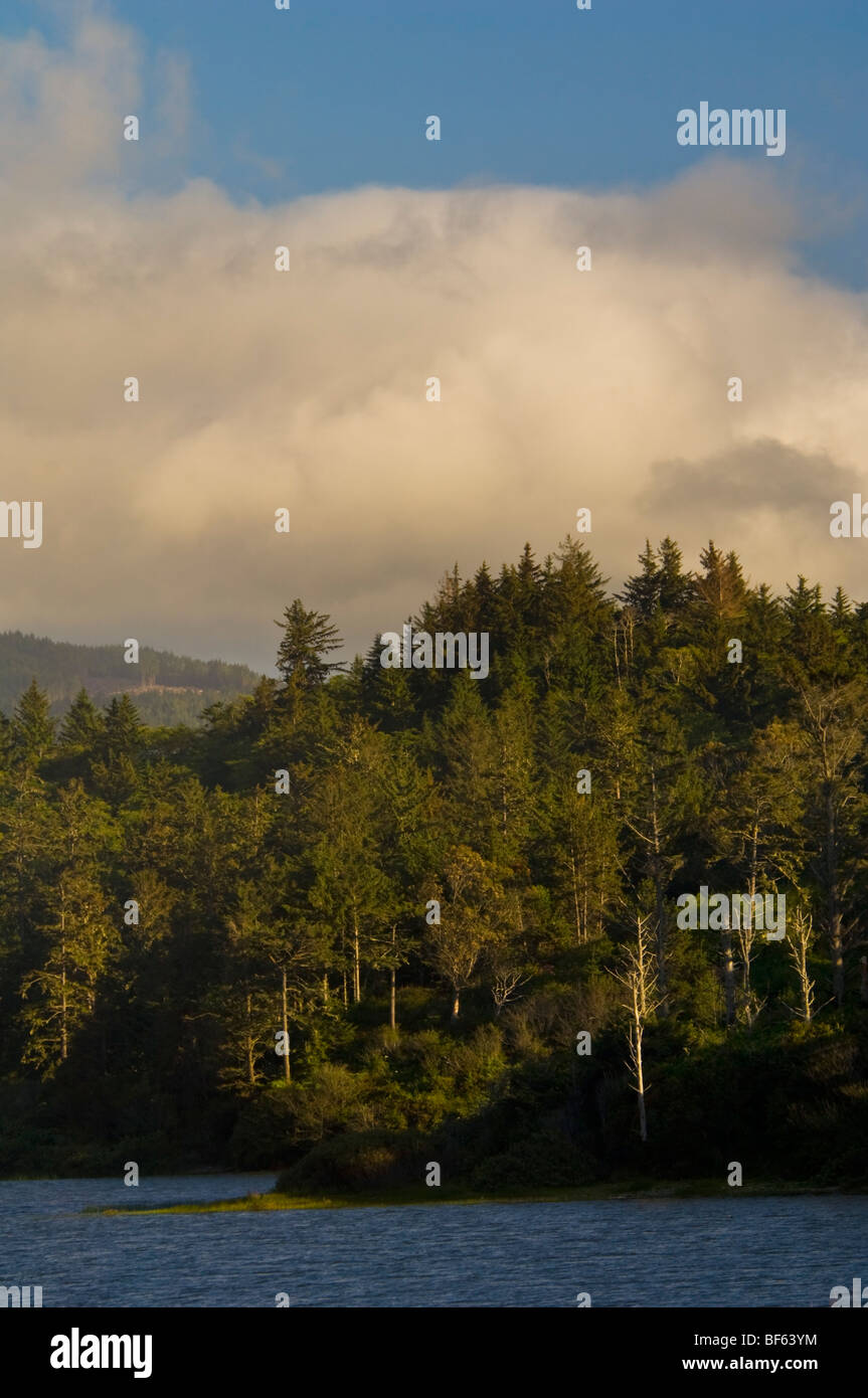 Humboldt lagoons state park hi-res stock photography and images - Alamy