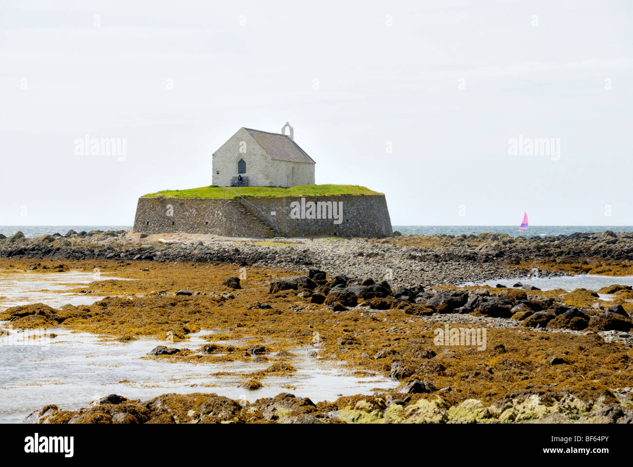 St. Cwyfan's church in the sea, Anglesey, North Wales Stock Photo - Alamy