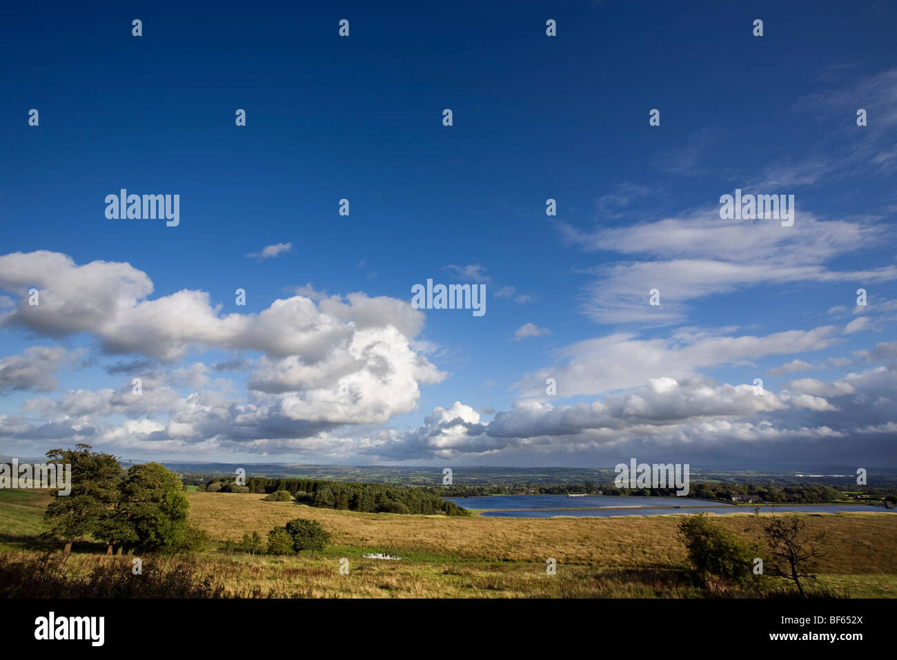 Alston reservoir in Longridge, Lancashire Stock Photo - Alamy