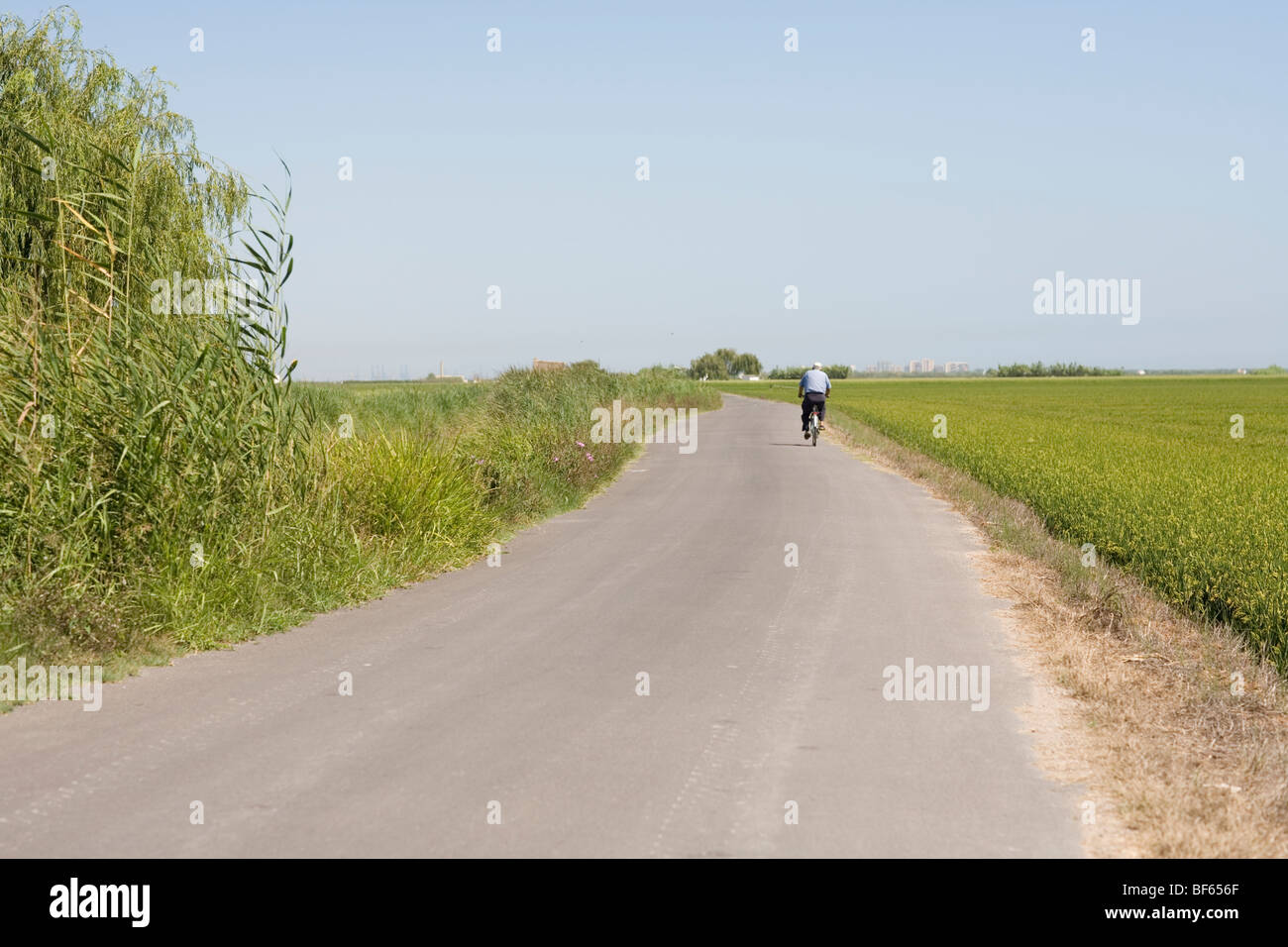 Cycling through fields hi-res stock photography and images - Alamy