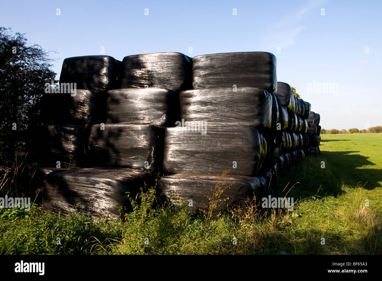 Black hay bales hi-res stock photography and images - Alamy