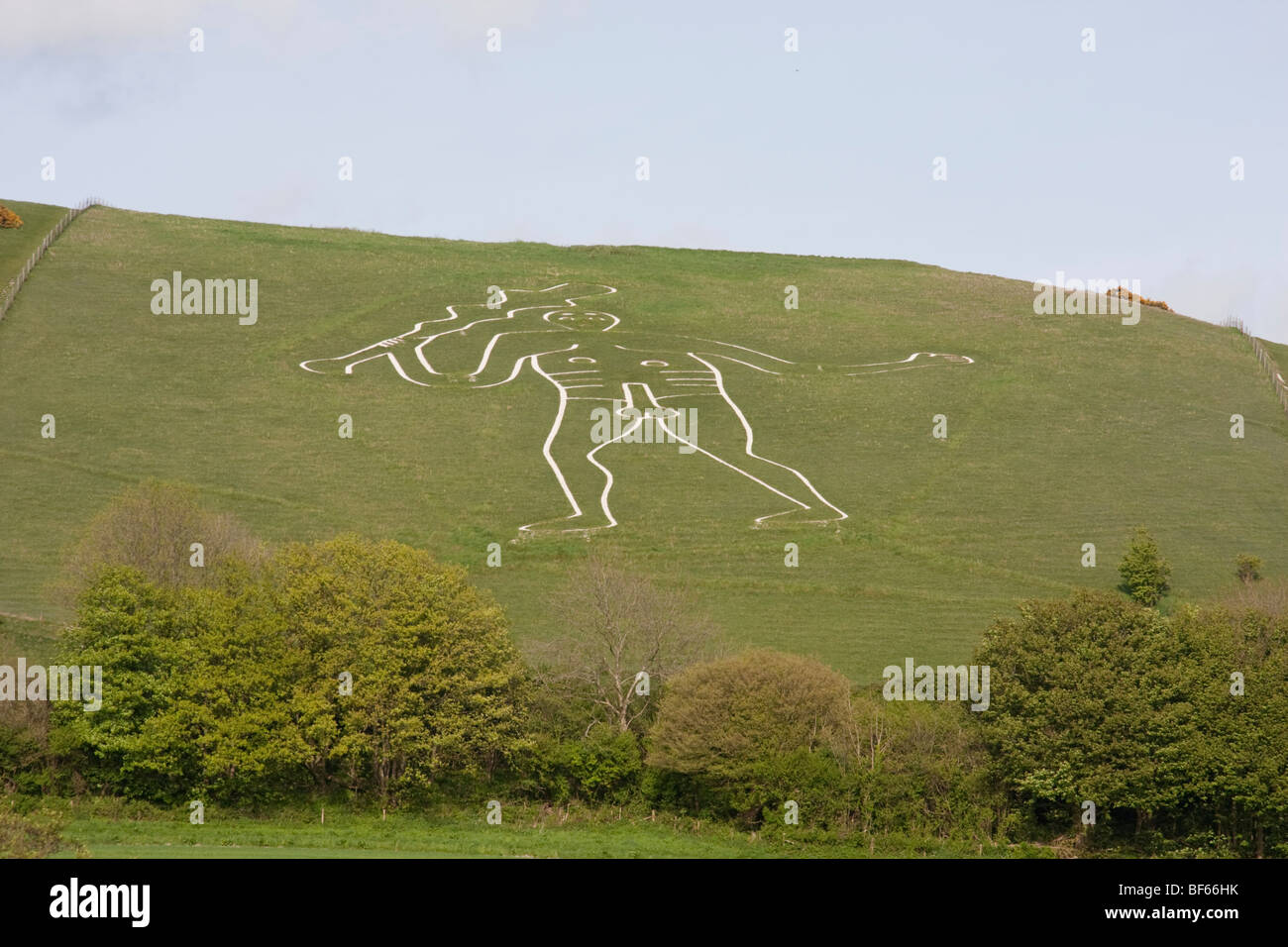 Cerne Abbas giant in Dorset, England Stock Photo - Alamy