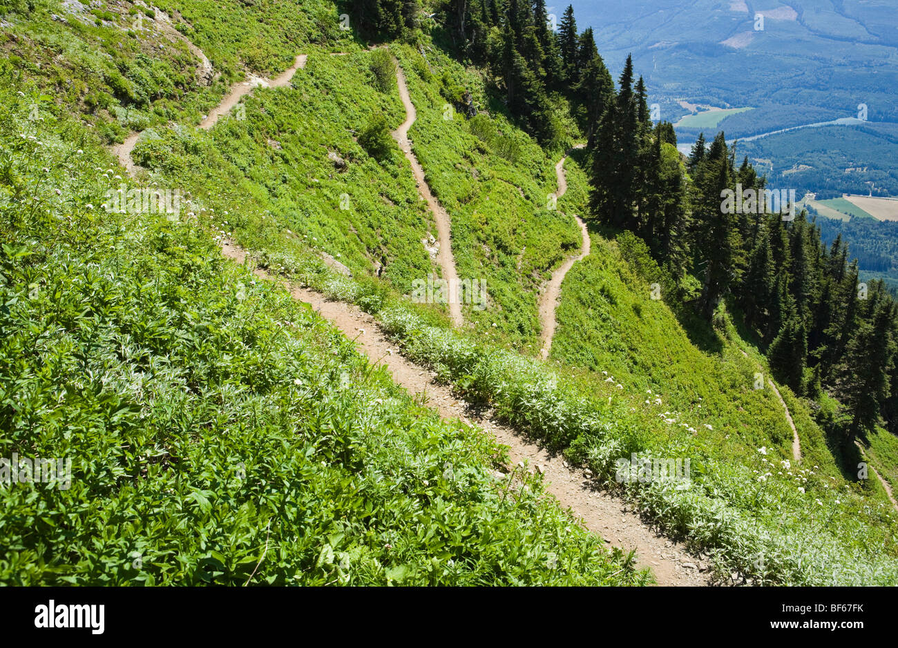 Switchbacks hi-res stock photography and images - Alamy
