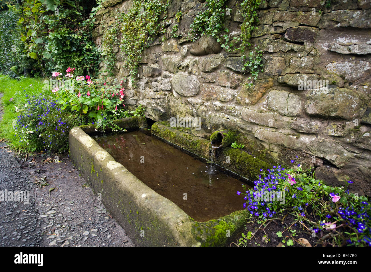 Stone watering trough in Chipping, Lancashire Stock Photo - Alamy