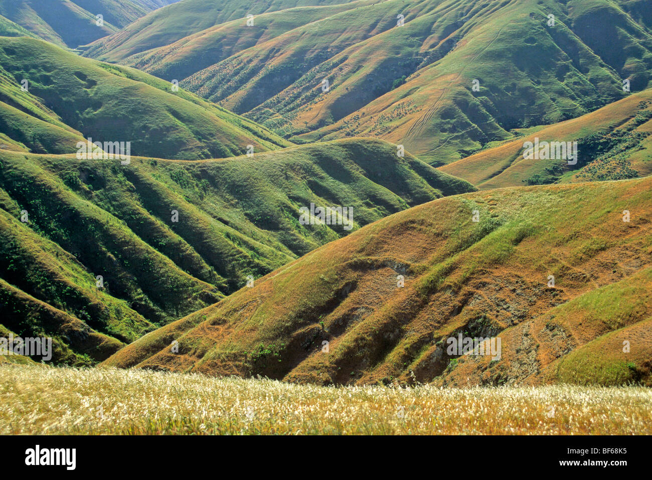 Santa rosa island california hi-res stock photography and images - Alamy