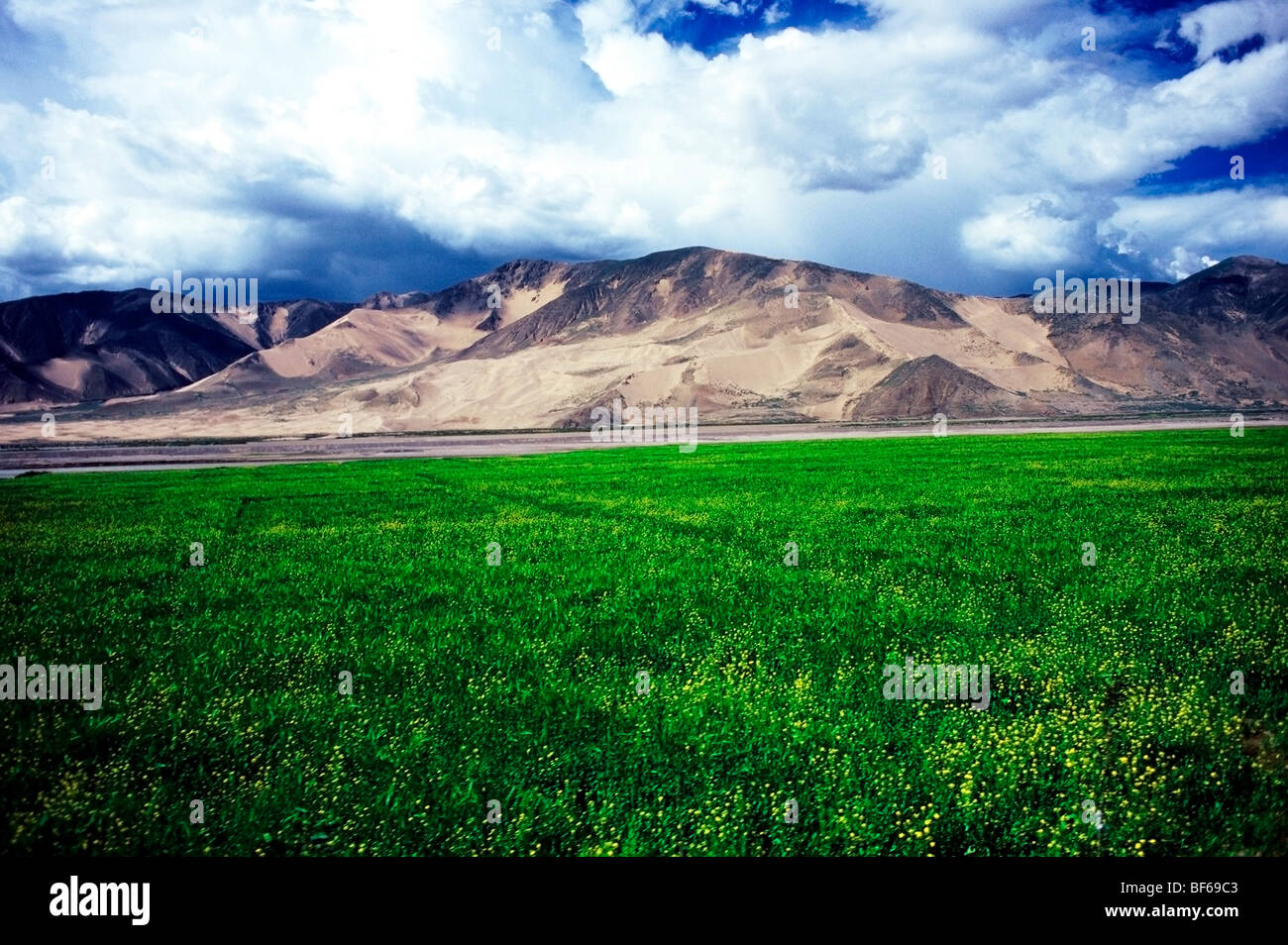 Magnificent view of Tingri County, Xigaze Prefecture, Tibet Autonomous ...