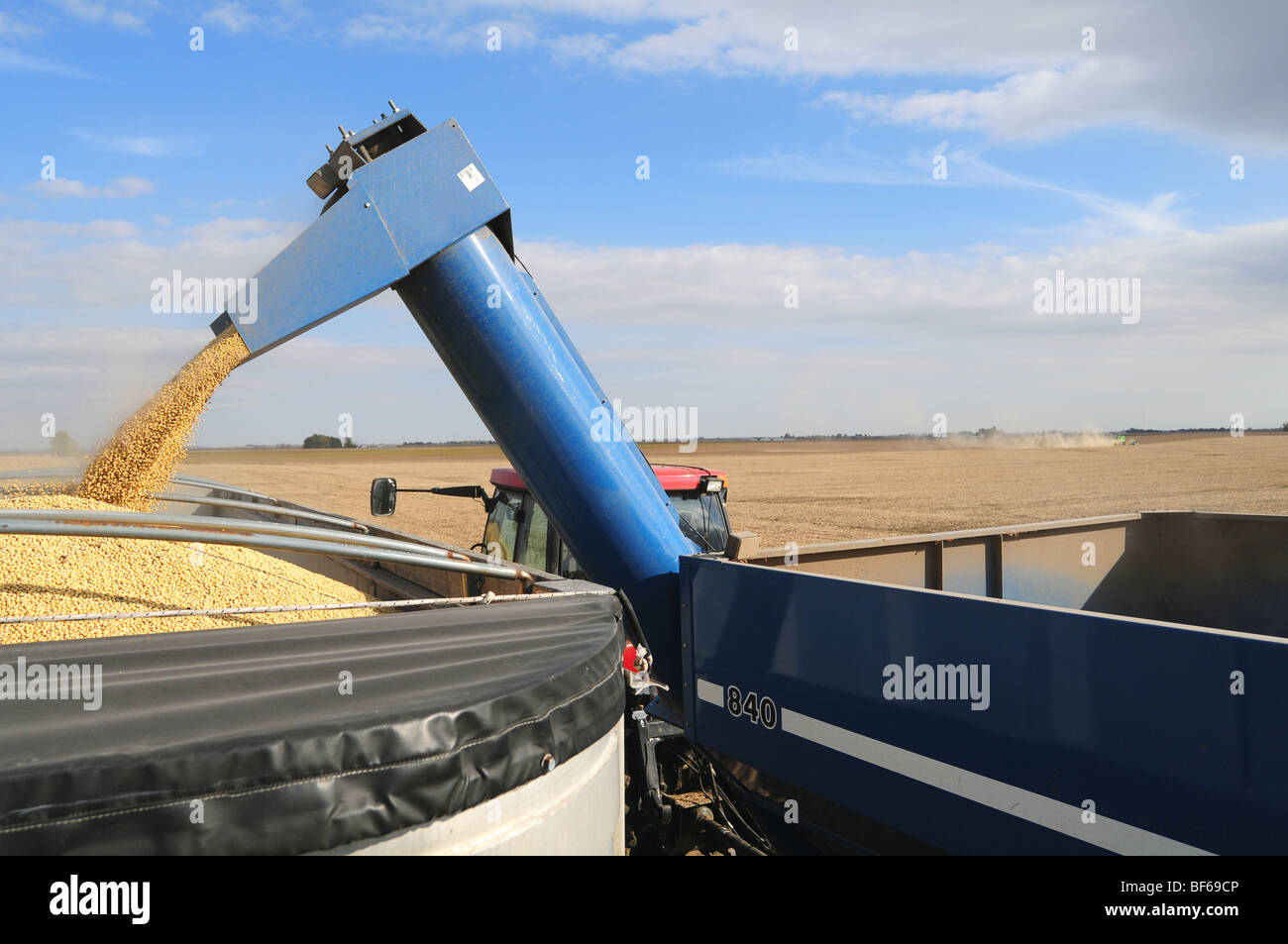 Soybeans are moved from a grain wagon pulled by a Case farm tractor to ...
