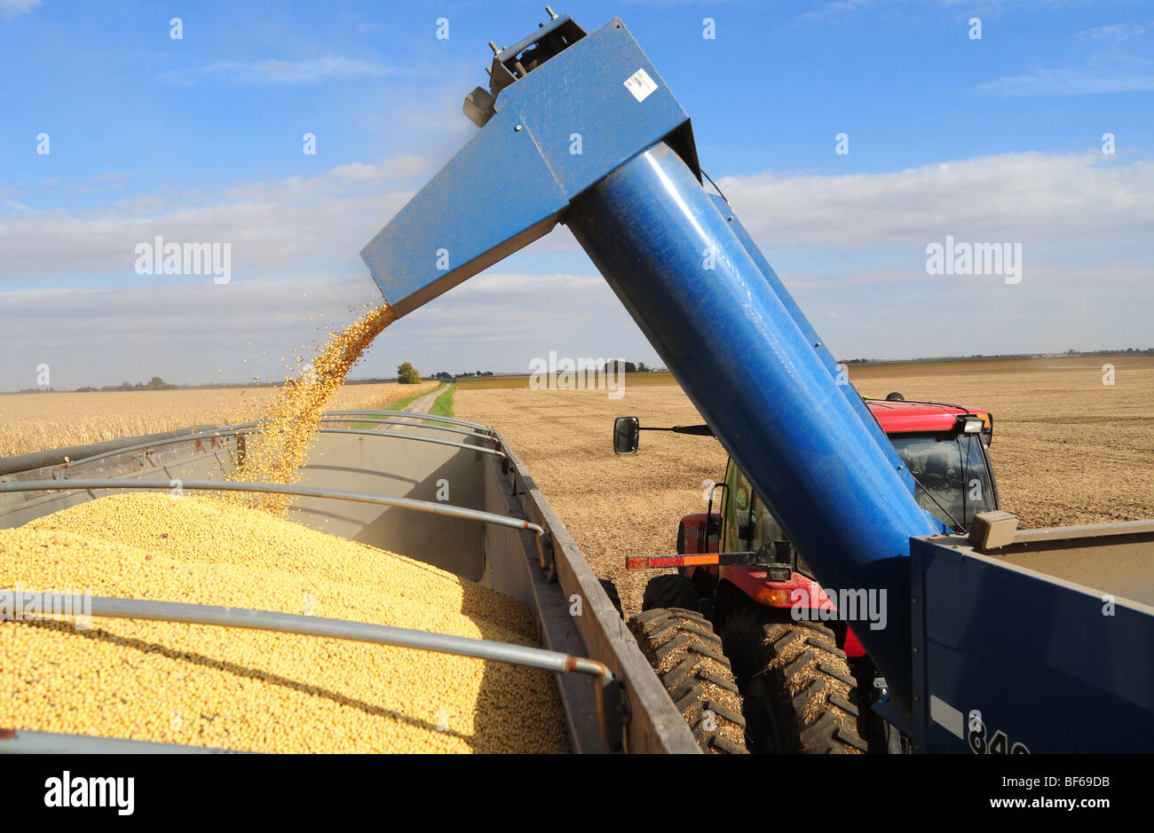 Truck soybeans hi-res stock photography and images - Alamy