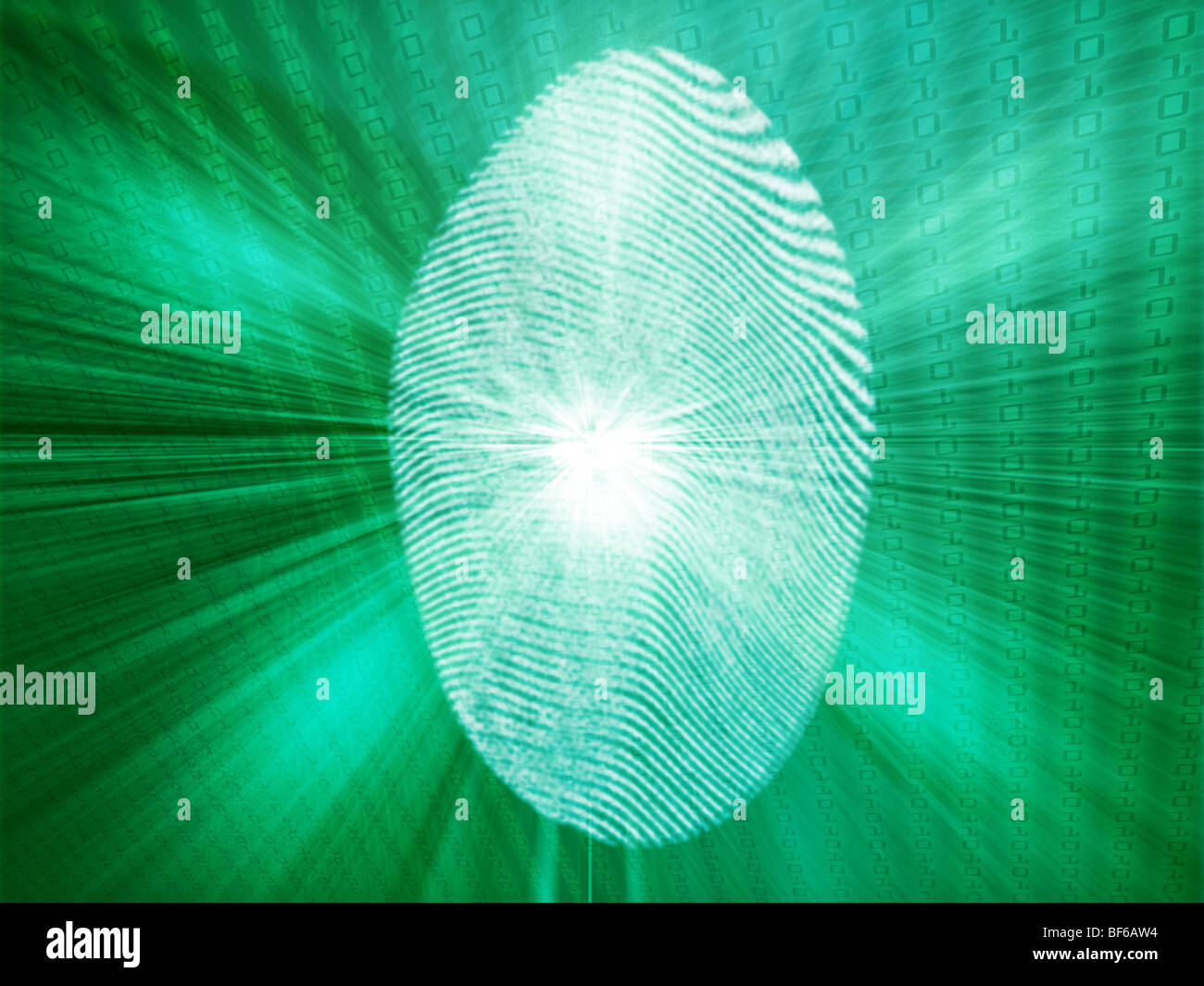 Digital fingerprint biometric security indentifaction, graphic ...