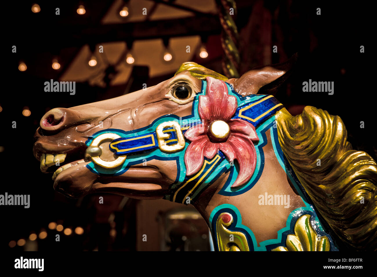 Carousel horse head hi-res stock photography and images - Alamy