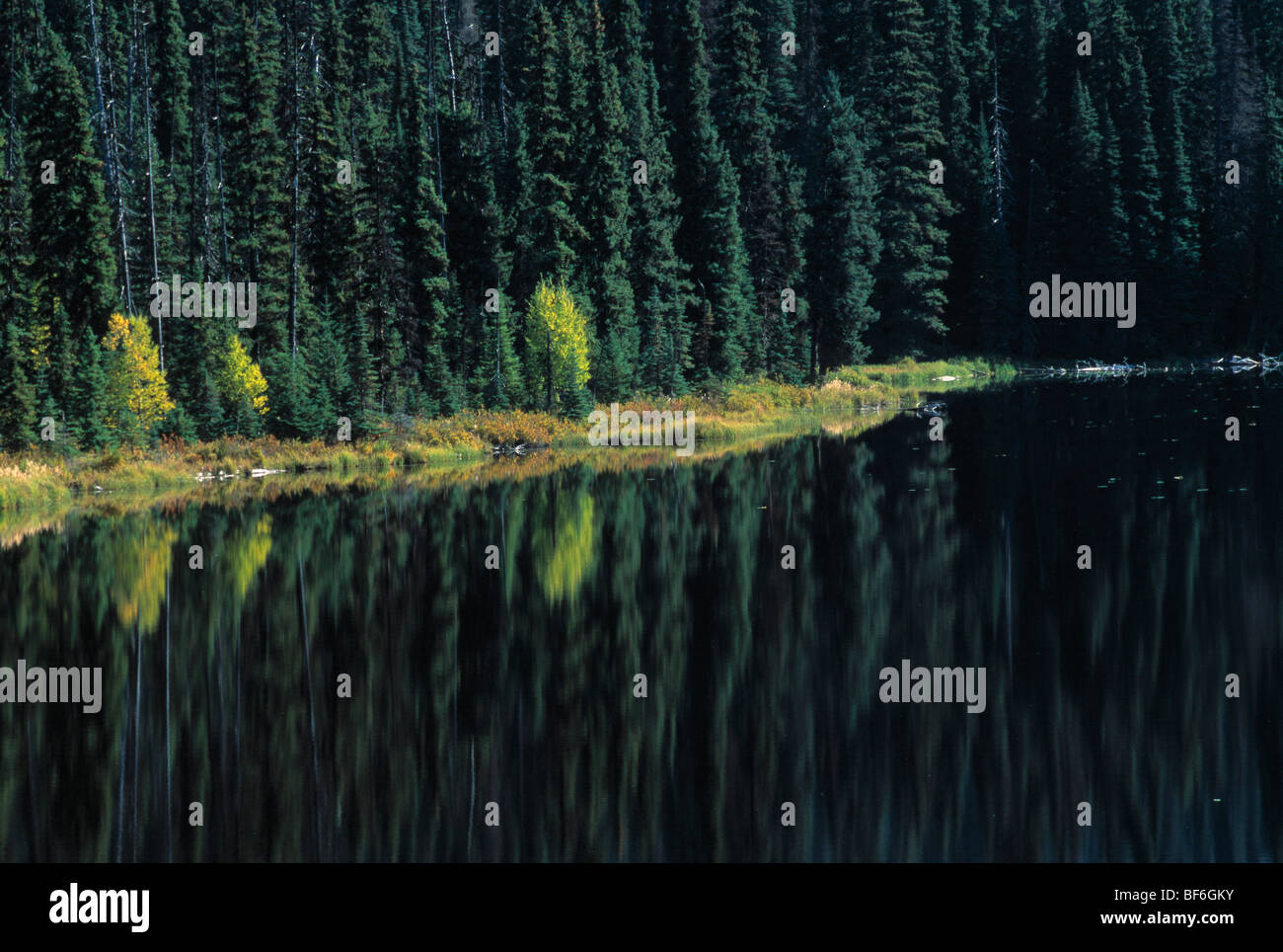 lakefront, alaska, usa Stock Photo - Alamy