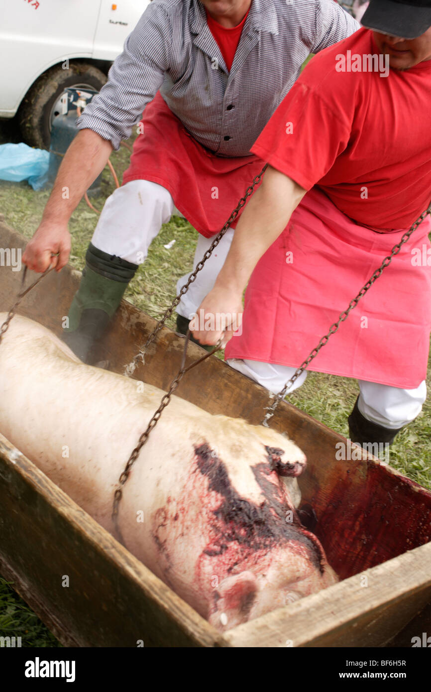 Pig meat commodity hi-res stock photography and images - Alamy