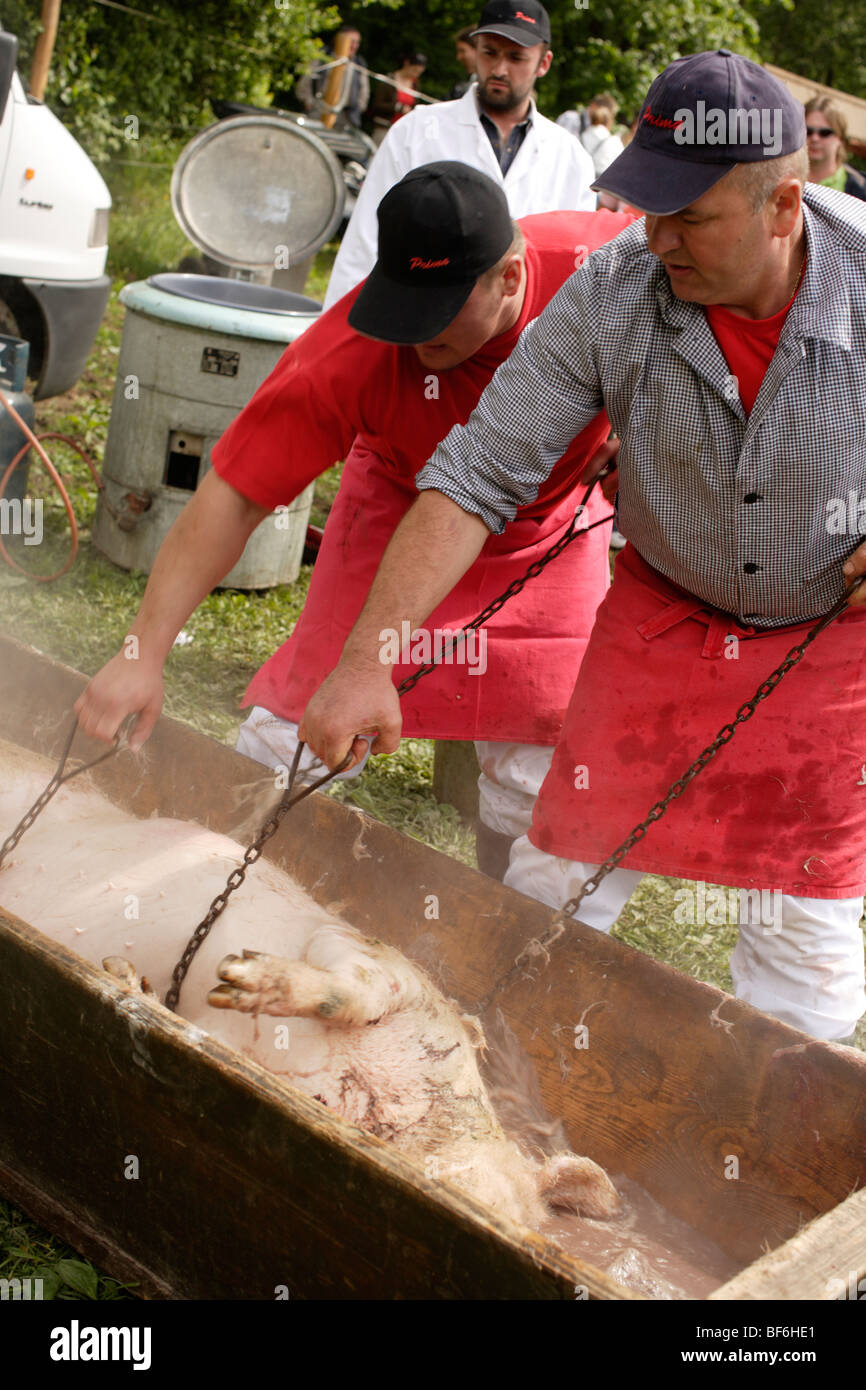 Pig meat cuts hi-res stock photography and images - Alamy