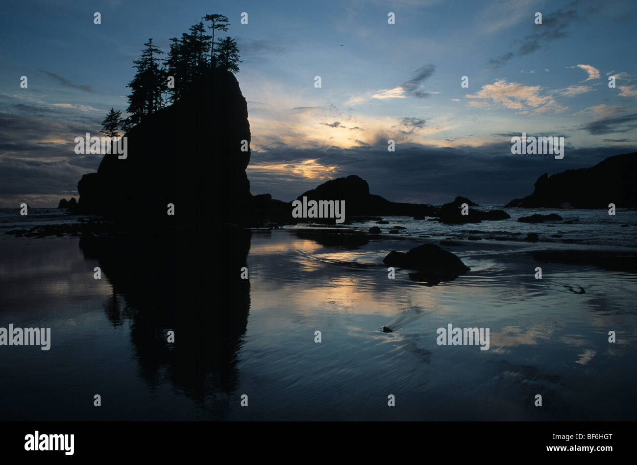 pacific coast, washington state, usa Stock Photo - Alamy