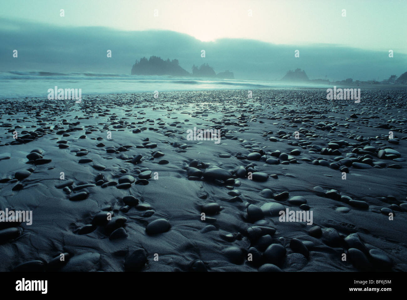 pacific coast, washington state, usa Stock Photo - Alamy