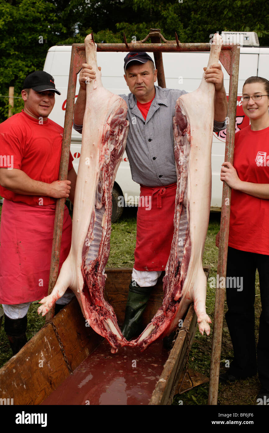 Rural pig sticking hi-res stock photography and images - Alamy