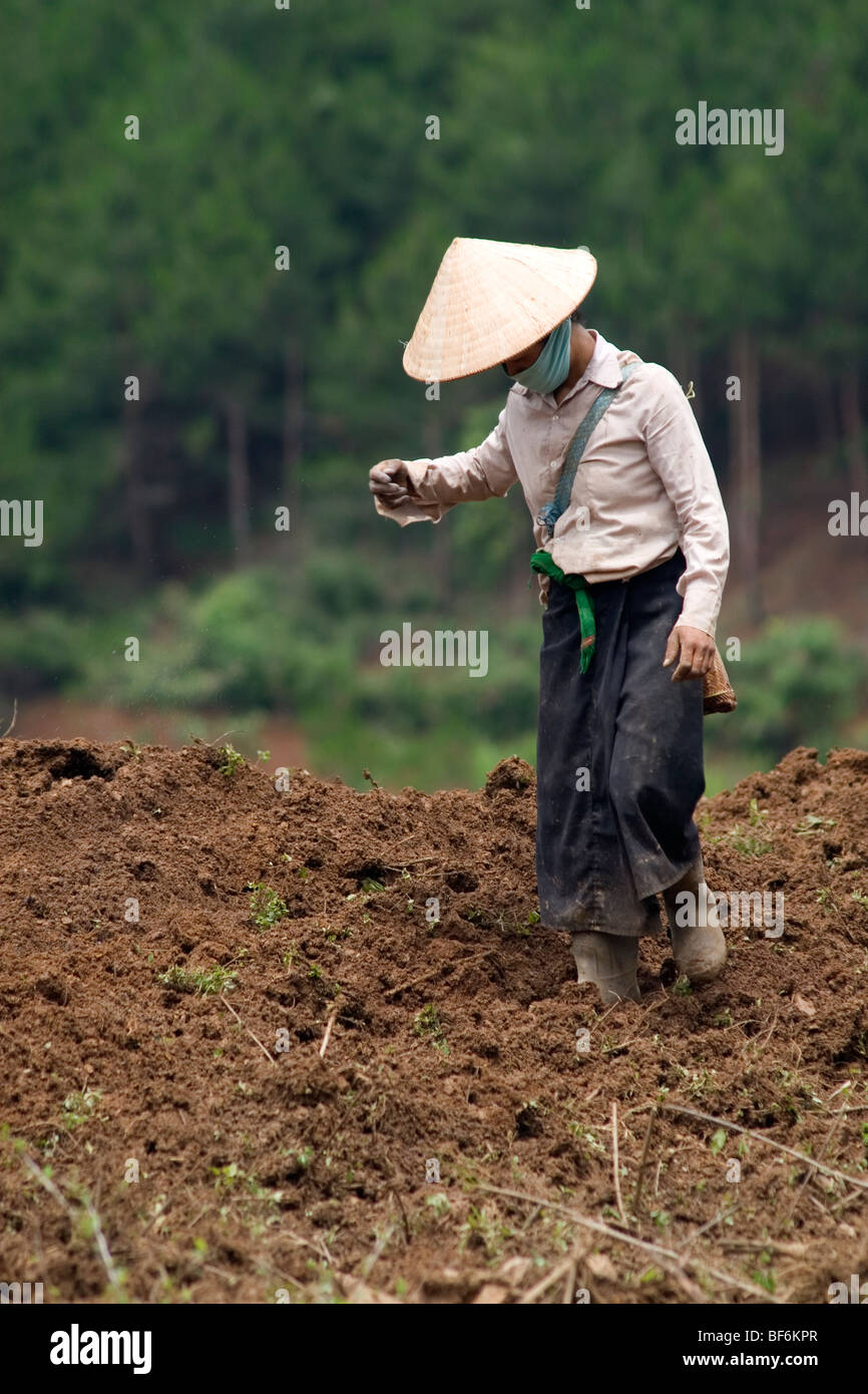 Vietnamese farmer hi-res stock photography and images - Alamy