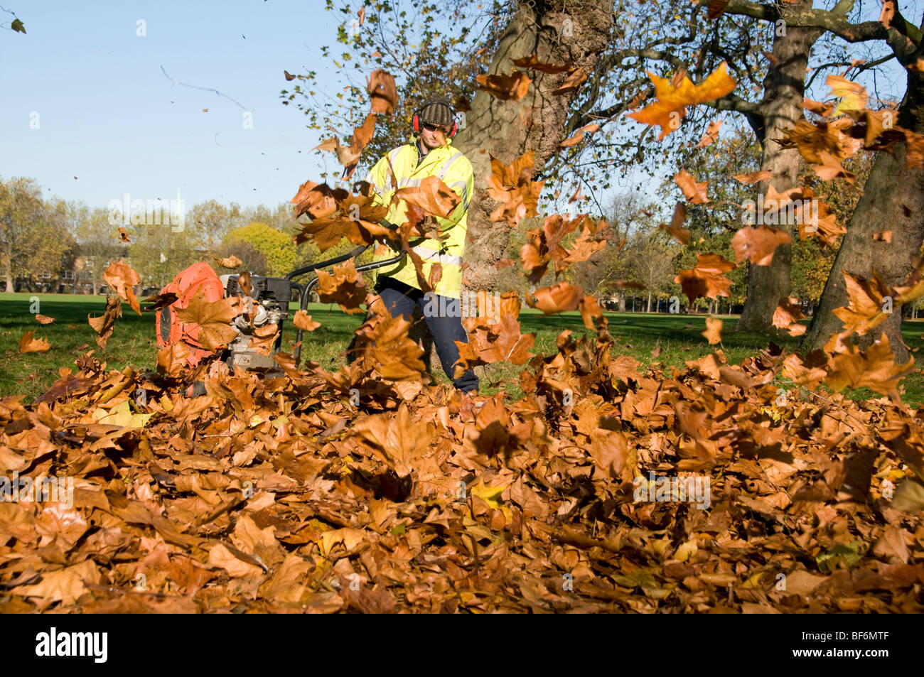 UK. Council workers clearing Autumn leaves in Victoria Park,London ...