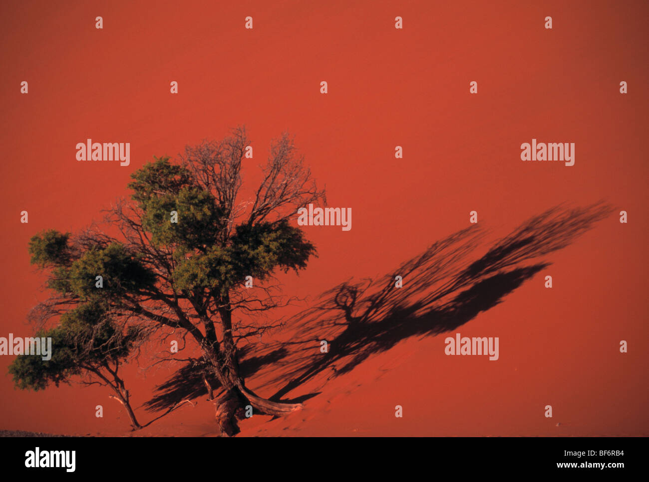 Desert zones hi-res stock photography and images - Alamy