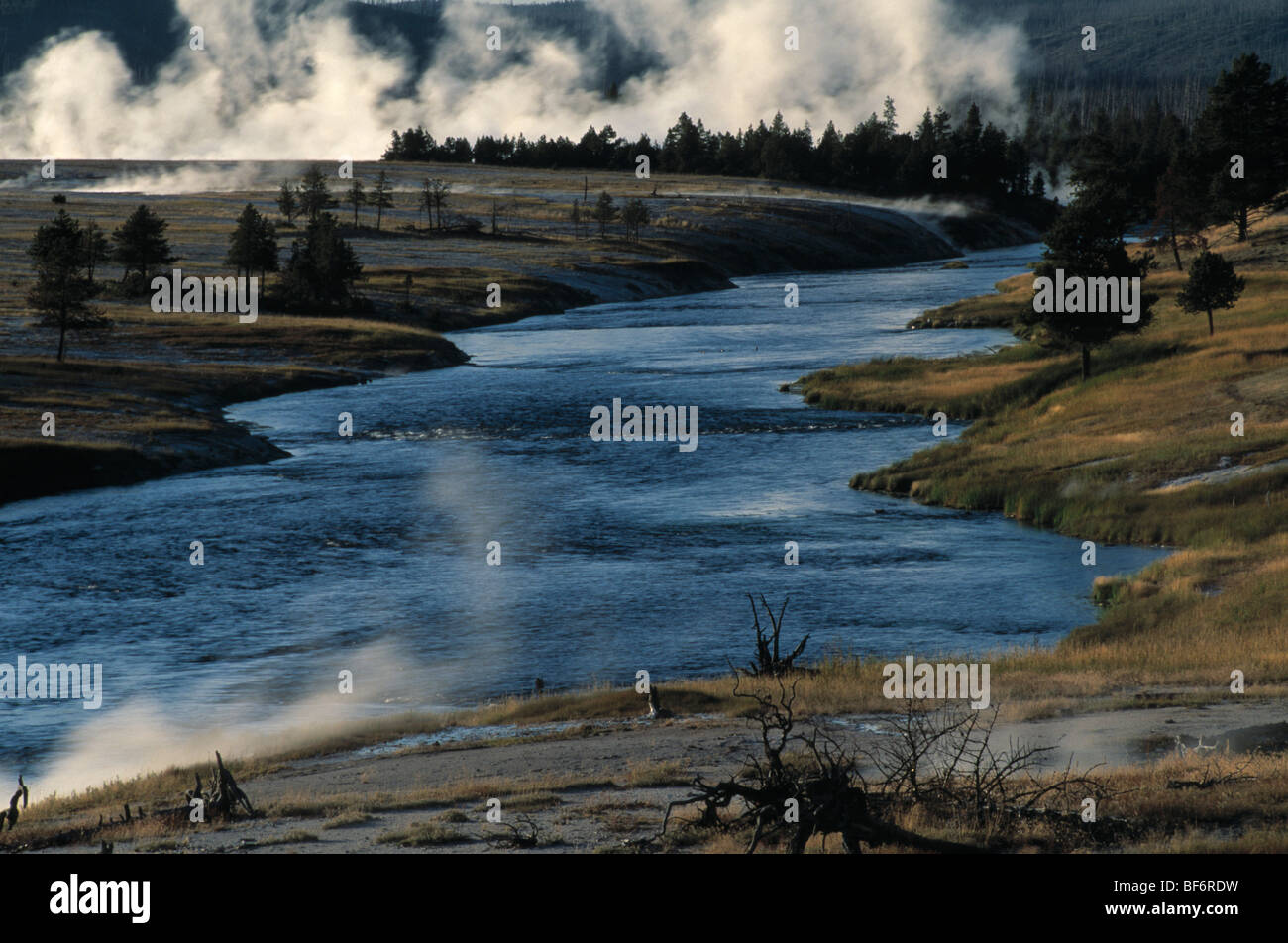 madison river, yellowstone national park, wyoming, usa Stock Photo - Alamy