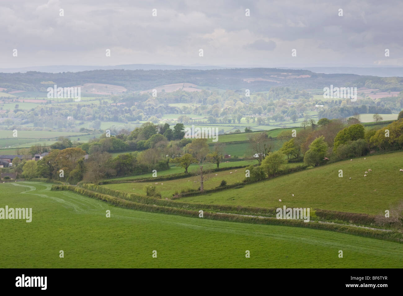Devon countryside hi-res stock photography and images - Alamy