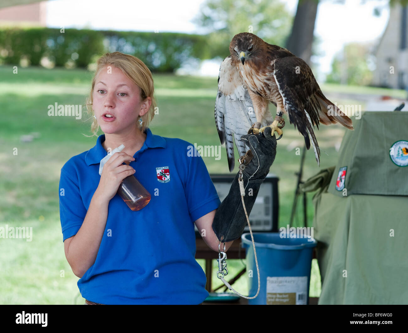 girl with hawk giving nature talk Stock Photo - Alamy