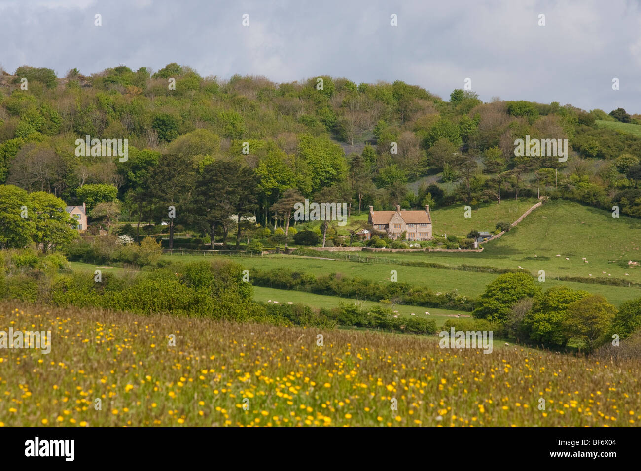 West dorset farm hi-res stock photography and images - Alamy