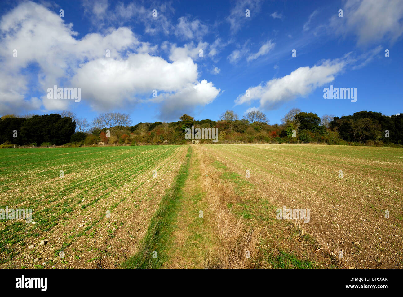 English farmland hi-res stock photography and images - Alamy