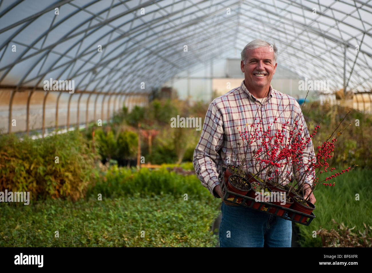 Cecilton garden hi-res stock photography and images - Alamy