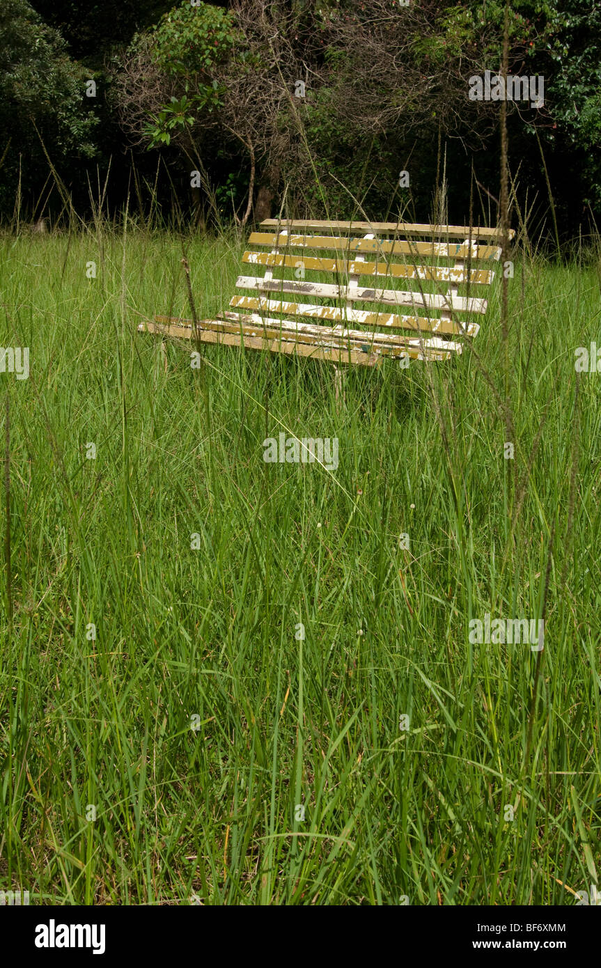 Bench old bench bench in the woods bench in the wild bench in nature ...