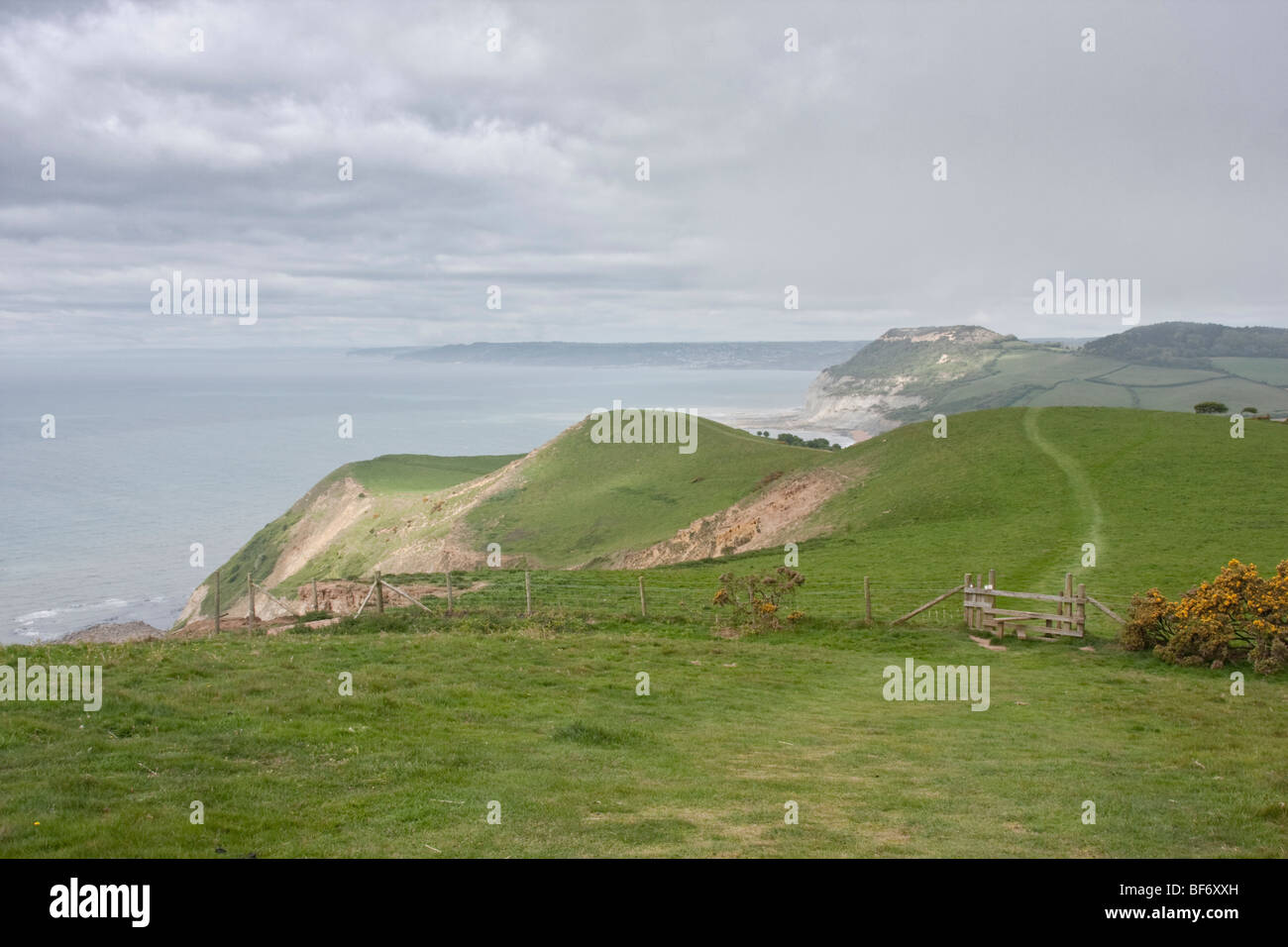 Monarchs way dorset hi-res stock photography and images - Alamy