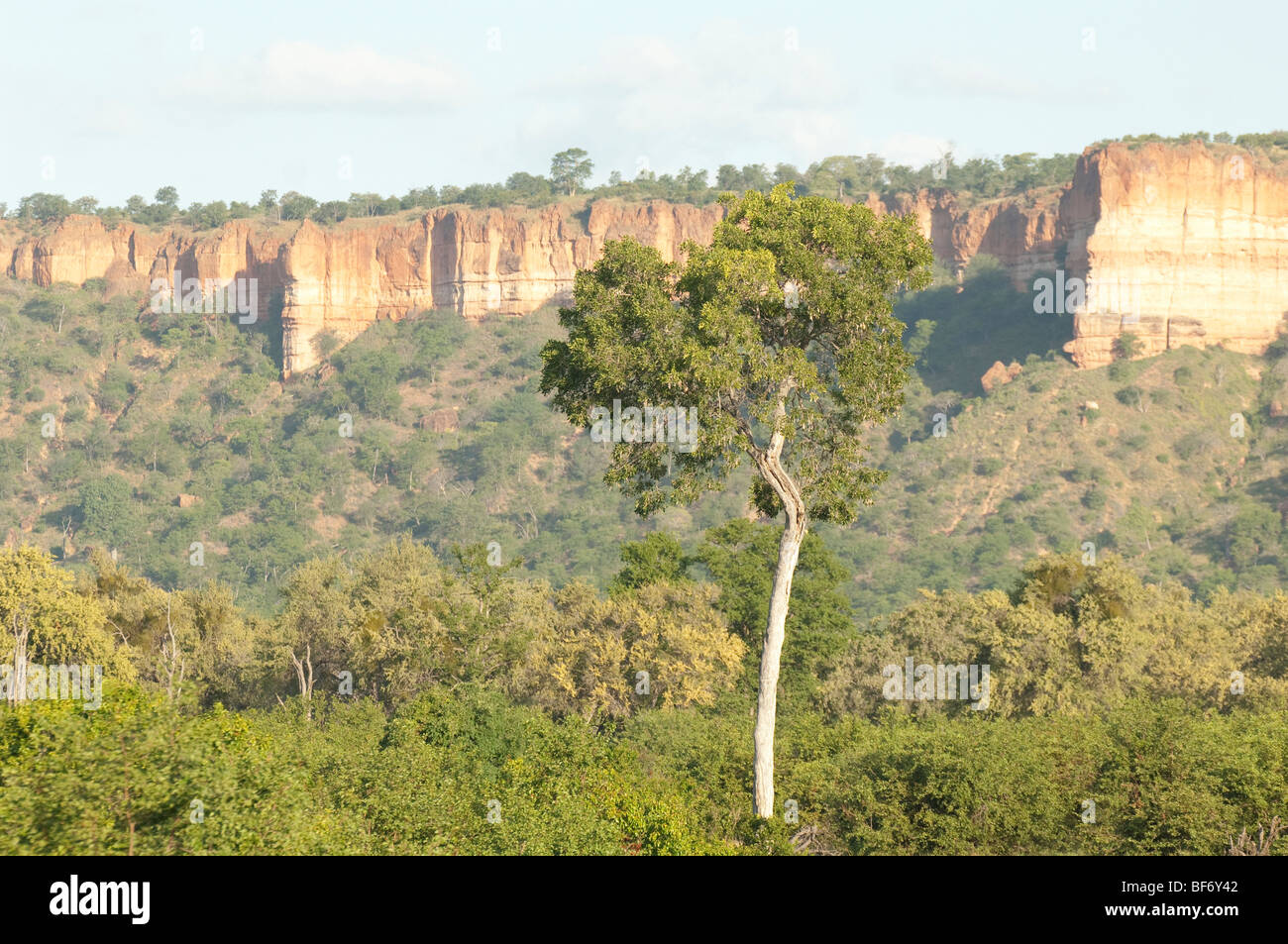 Gonarezhou National Park Zimbabwe Africa place of elephants Chilojo ...