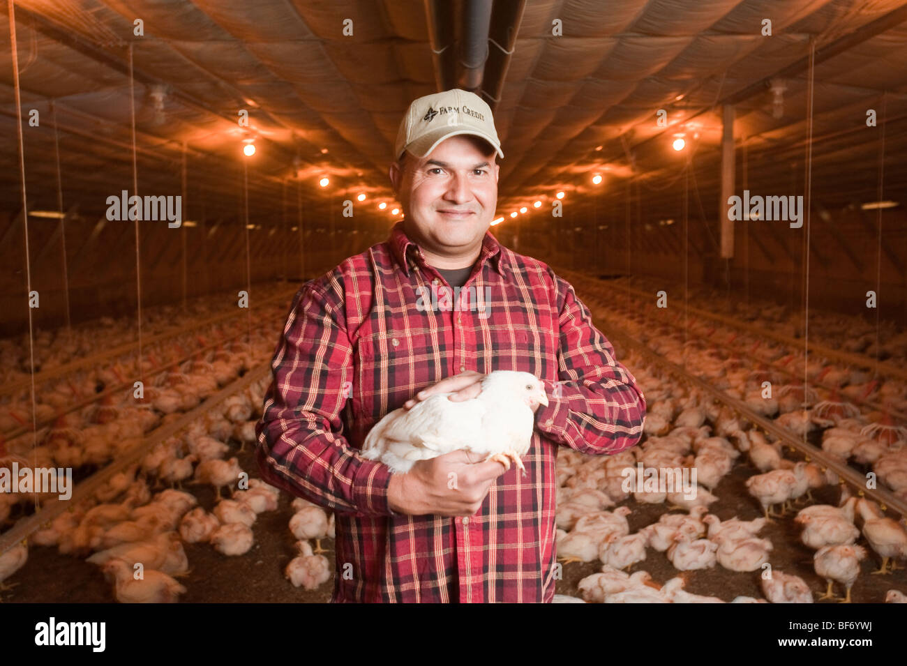 Poultry grower Mohammad Iqbal , Snow Hill Maryland Stock Photo - Alamy