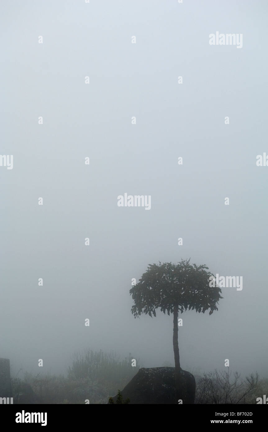 Nyanga Eastern Highlands Zimbabwe Africa mountains landscape Zimbabwe ...