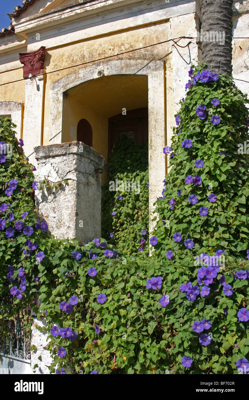 Unoccupied house hi-res stock photography and images - Alamy