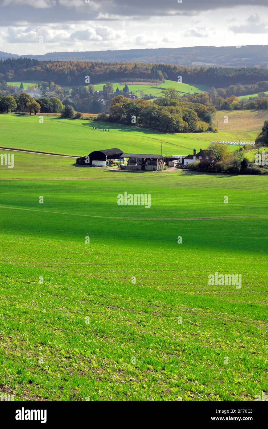 Farmland in Surrey Hills Stock Photo - Alamy