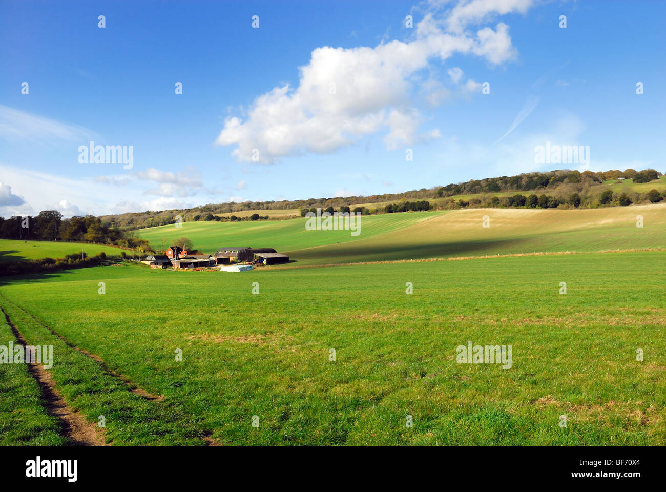 Farms in surrey hi-res stock photography and images - Alamy