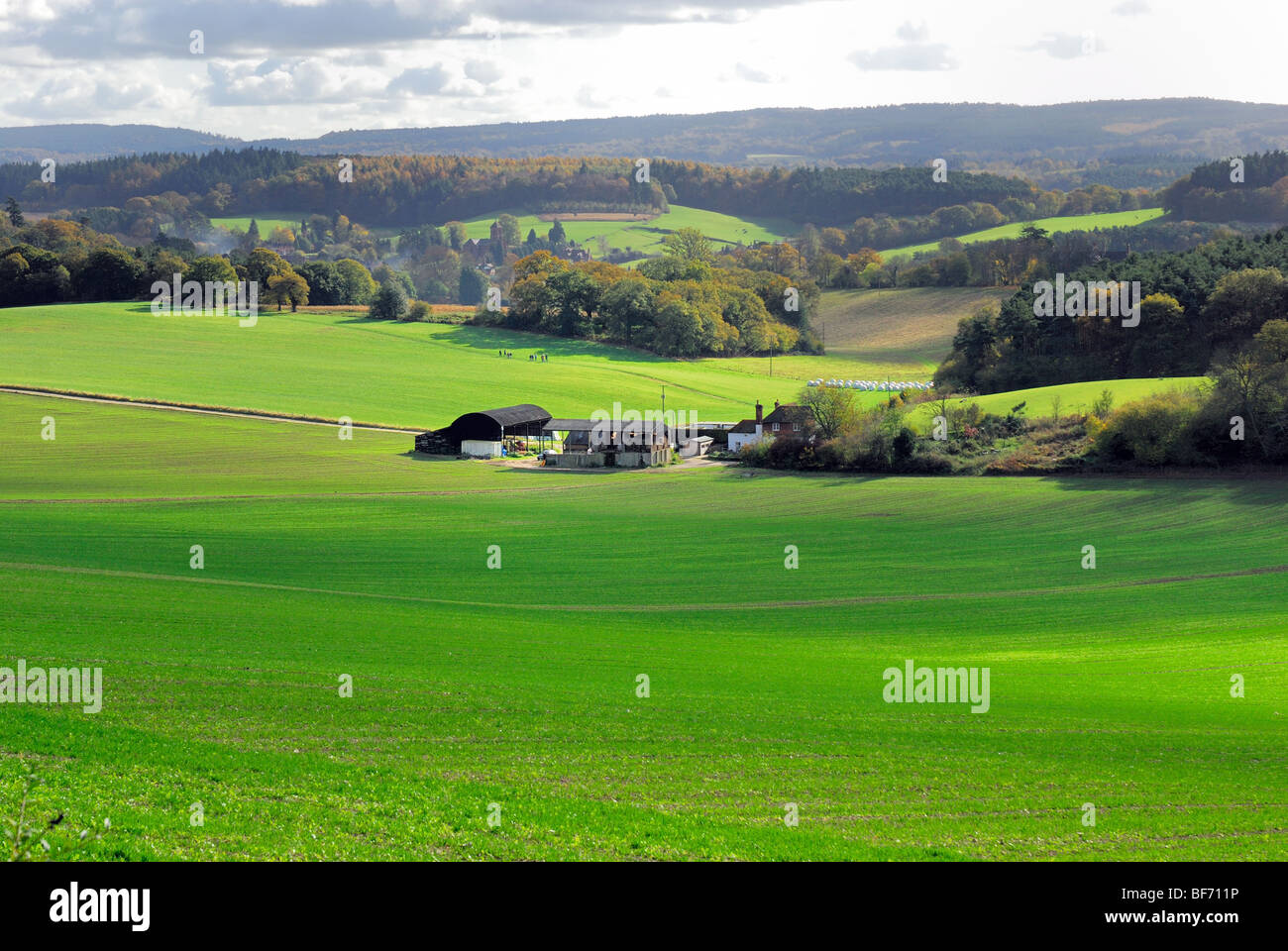 Farmland in Surrey Hills Stock Photo - Alamy