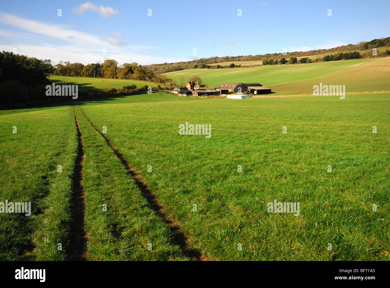 Farmland in Surrey Hills Stock Photo - Alamy