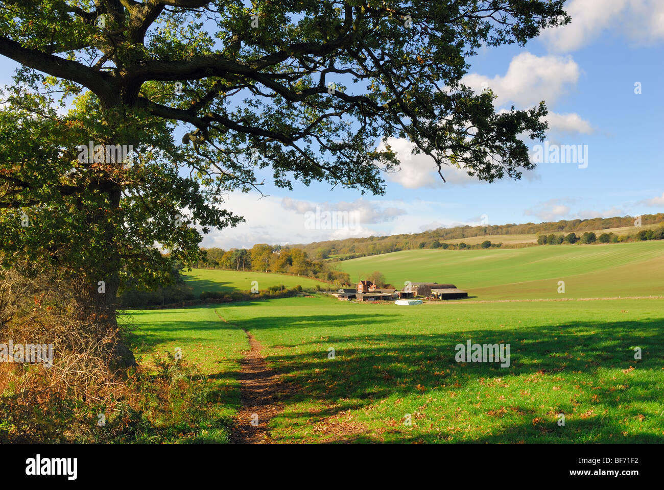 The surrey hills hi-res stock photography and images - Alamy