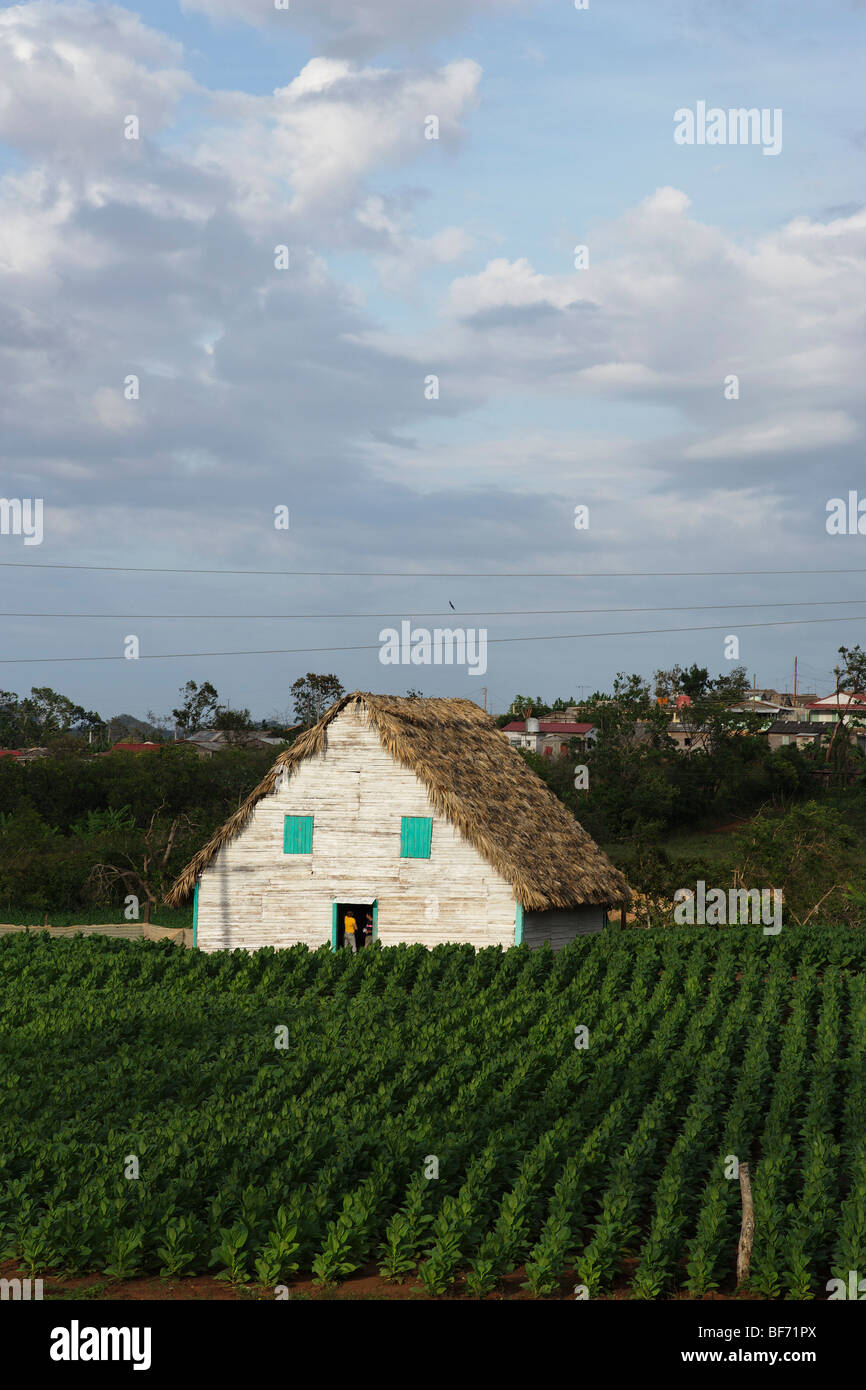 Tobacco kiln hi-res stock photography and images - Alamy