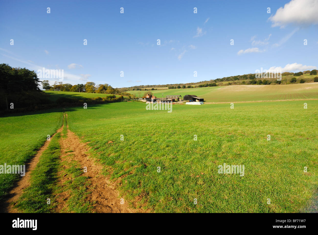 Farmland in Surrey Hills Stock Photo - Alamy